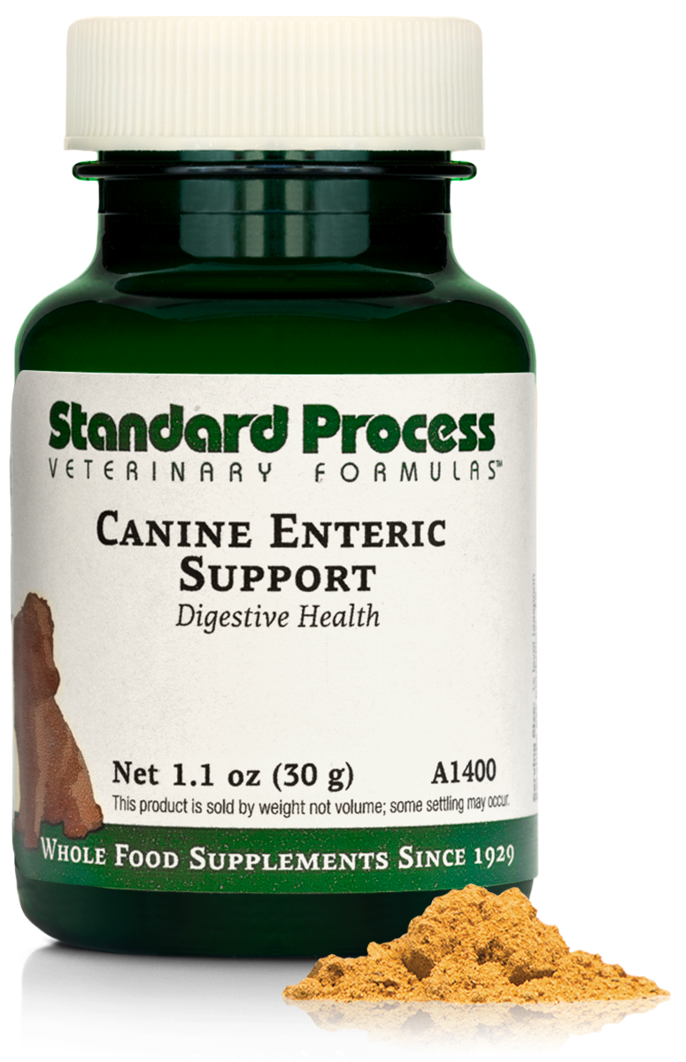 Canine Enteric Support, 1.1 oz (30 g) – Dr. Bart's Health Store