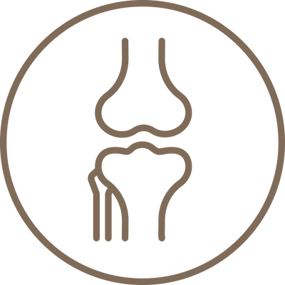 Soft White Wheat Berries, 1 - 10lb. Bag – Dr. Bart's Health Store