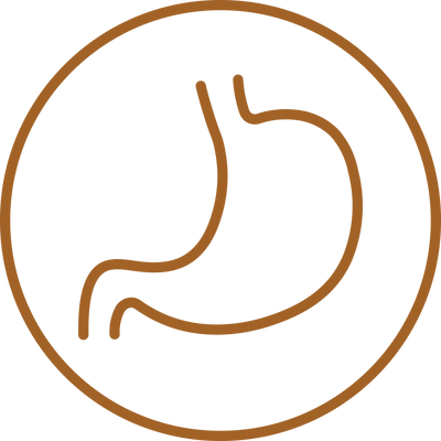 Buckwheat Groats, 2lb kraft bag (Gluten Free) – Dr. Bart's Health Store