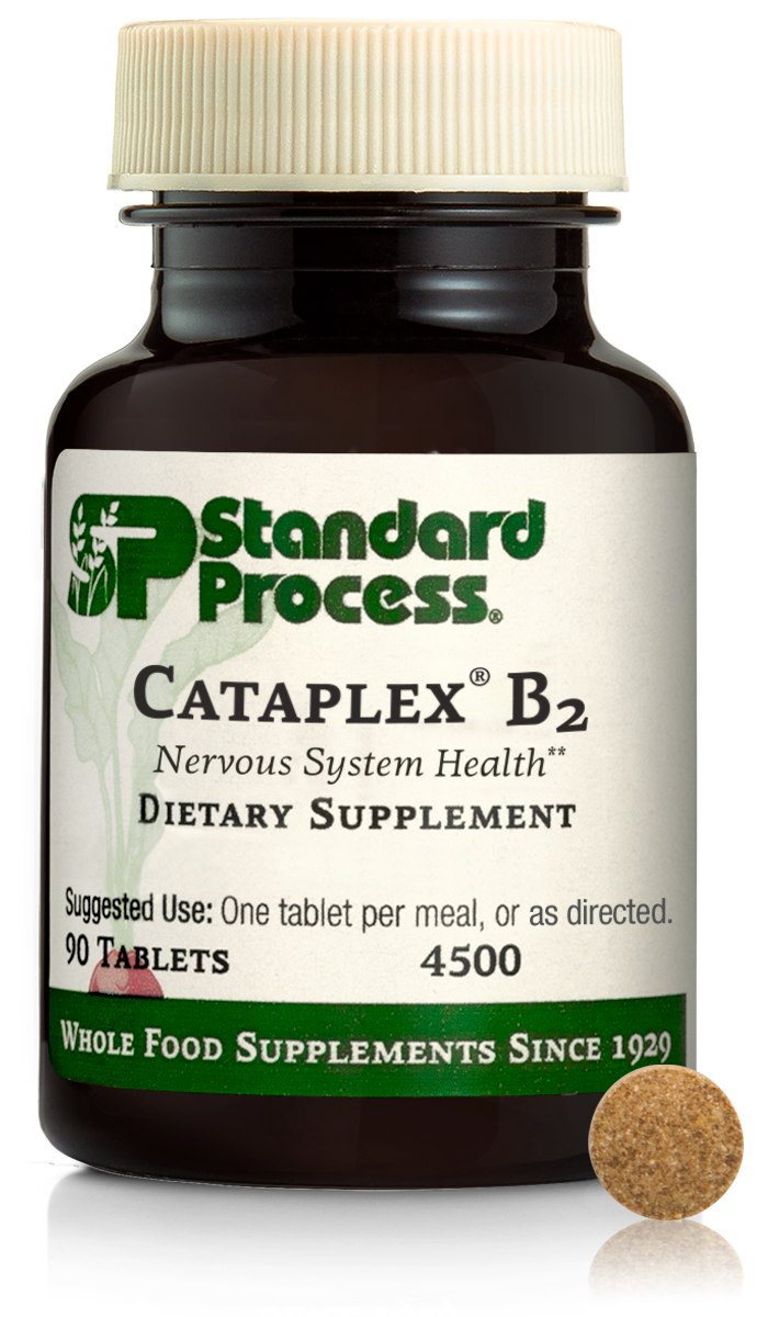 Cataplex® B2, 90 Tablets – Dr. Bart's Health Store