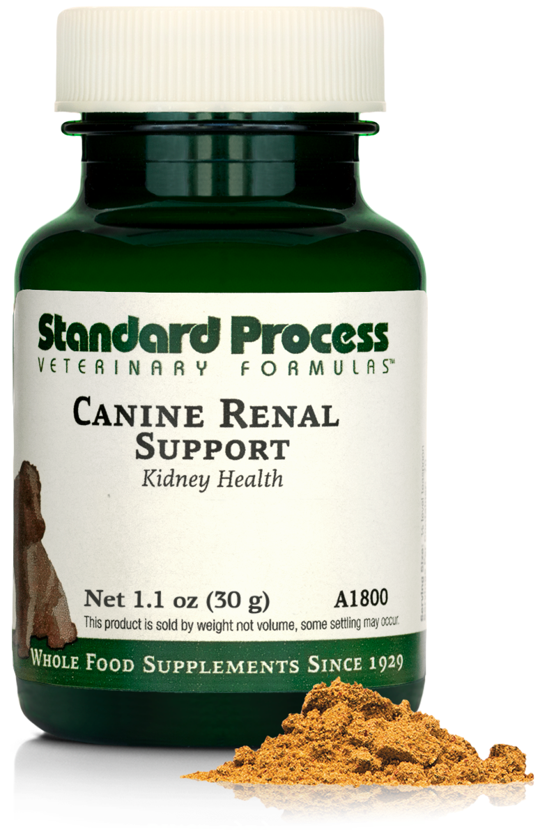 Canine Renal Support, 1.1 oz (30 g) – Dr. Bart's Health Store
